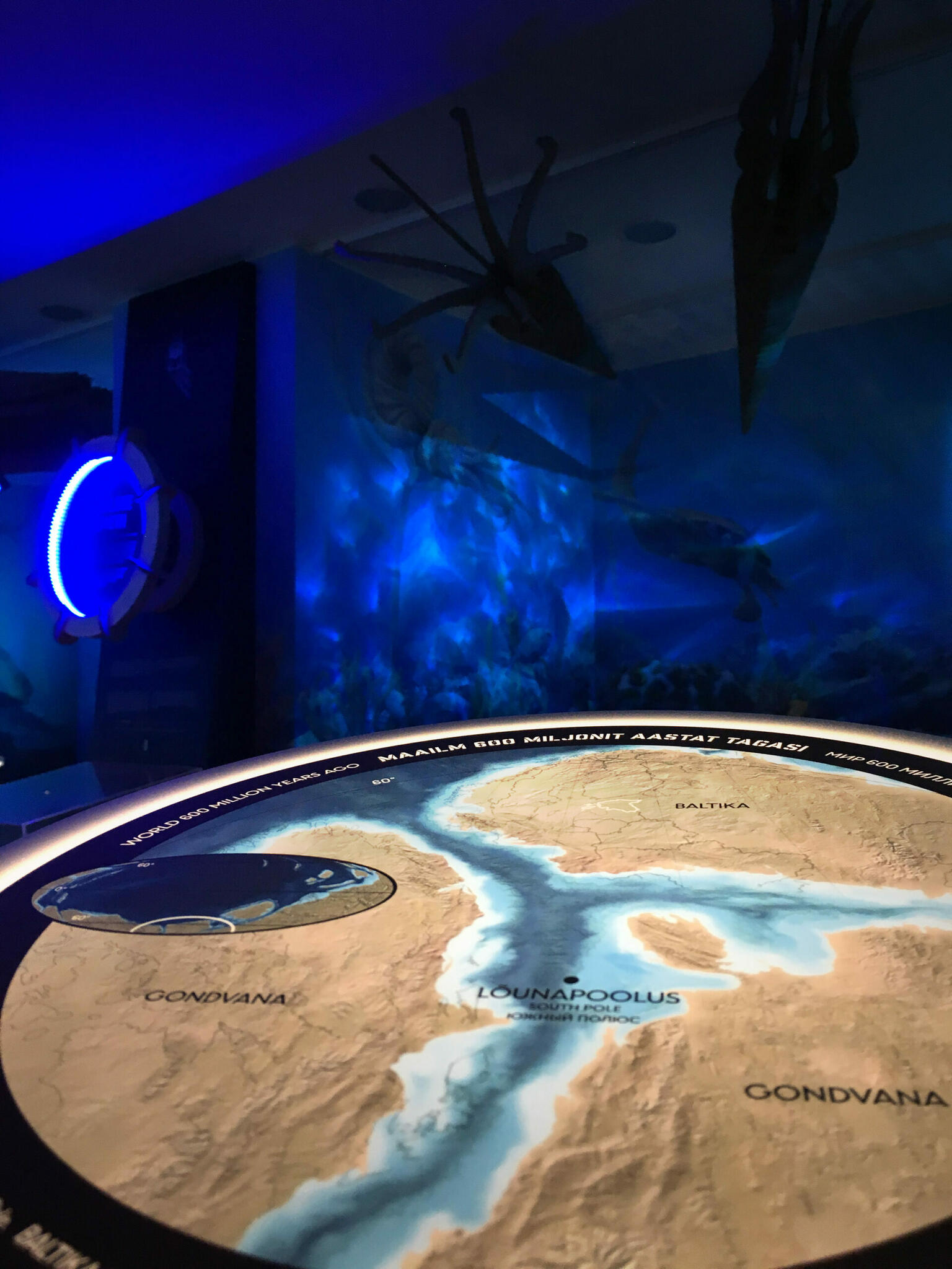 Oloolo – Transforming Ideas into World-Changing Exhibitions